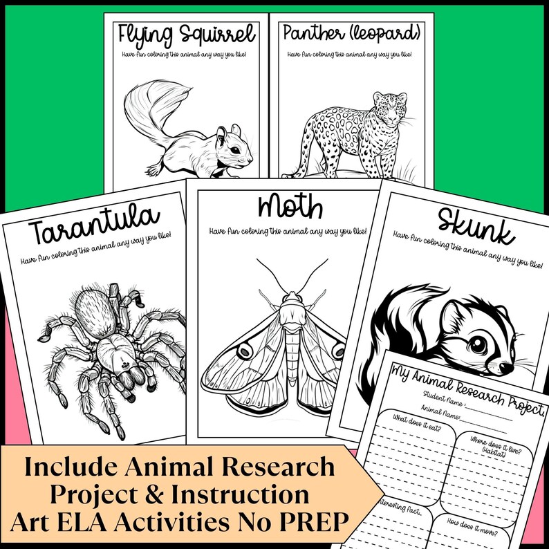 Nocturnal Animals Research and Coloring Project for Kids Prek to 4th ...