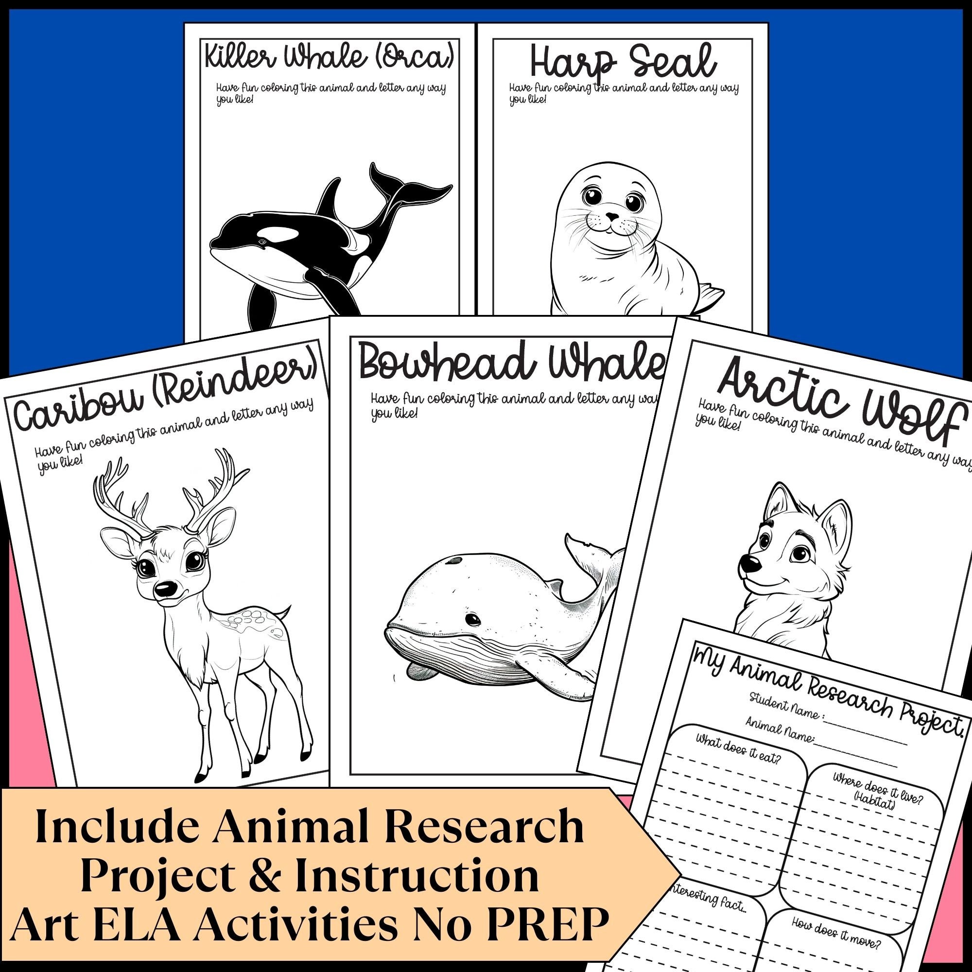 Winter Arctic Animals Coloring Pages & Animal Research Project | ELA ...