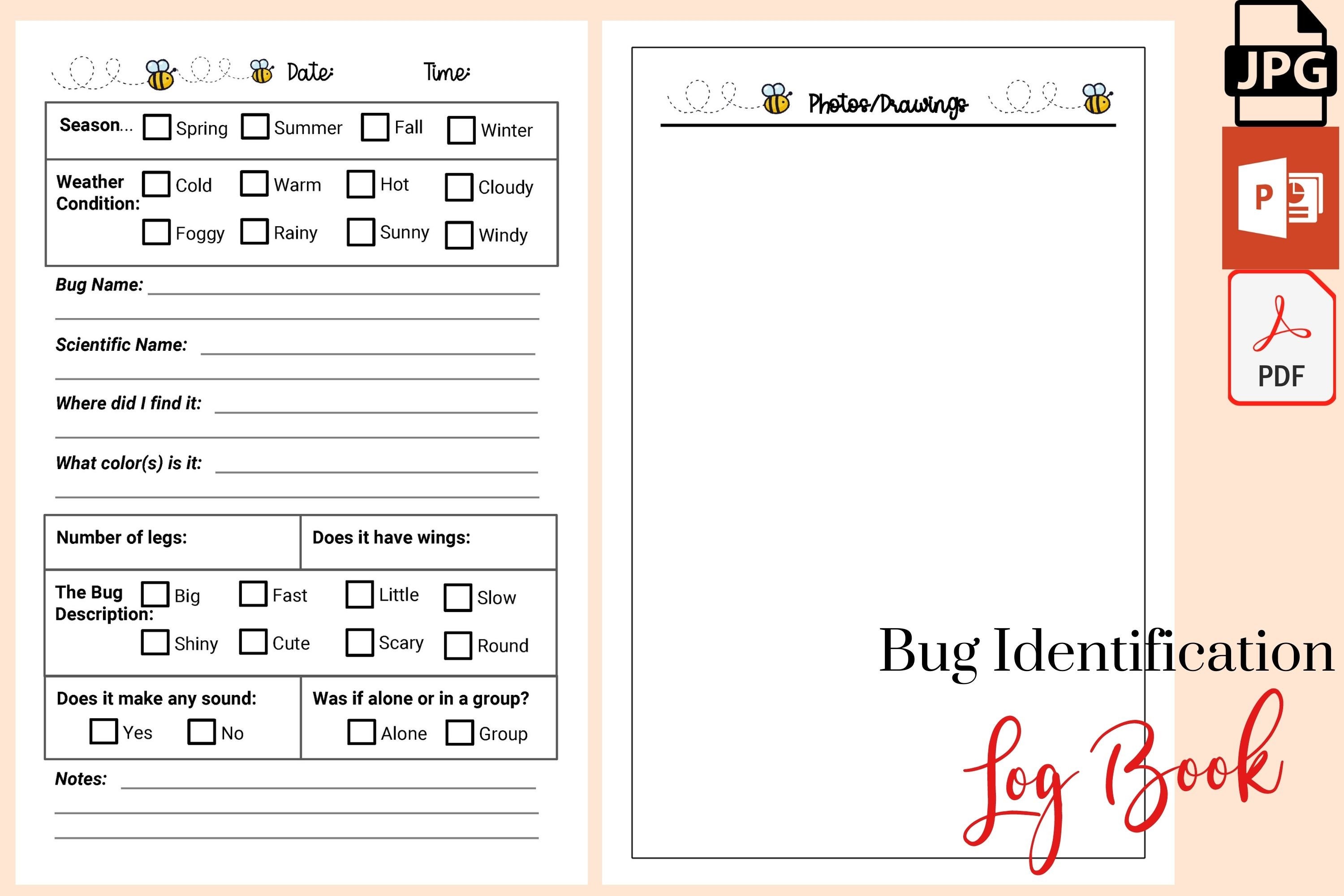Bug Identification Log Book for Kids 6x9 bleed 100 Pages PDFPPT JPG ...
