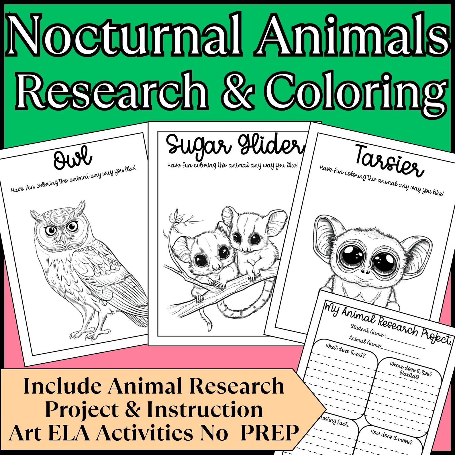 Nocturnal Animals Research and Coloring Project for Kids Prek to 4th ...