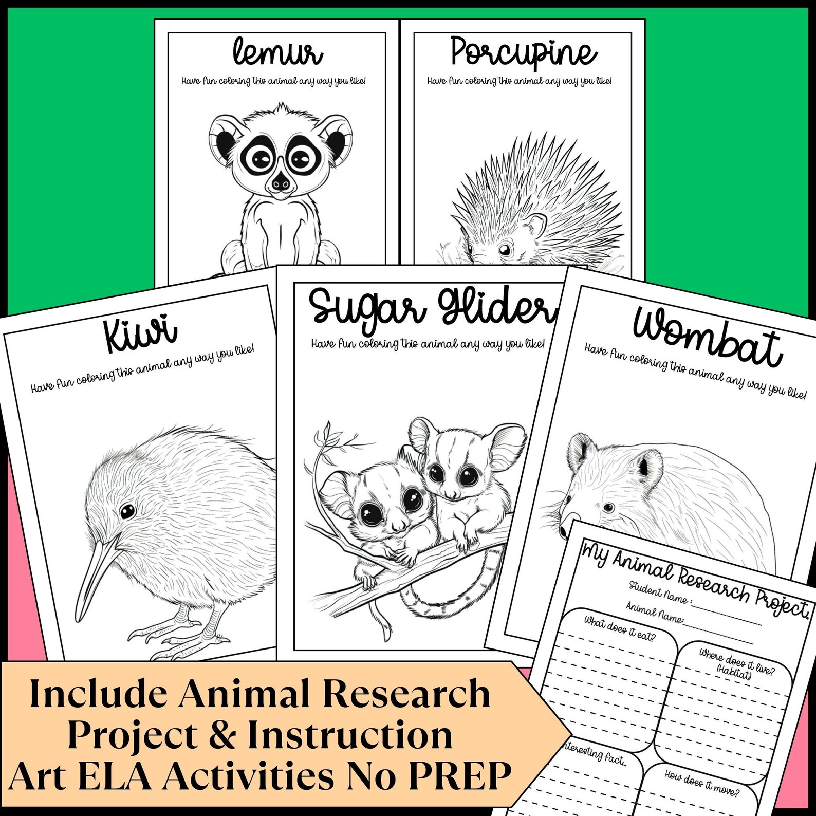 Nocturnal Animals Research and Coloring Project for Kids Prek to 4th ...