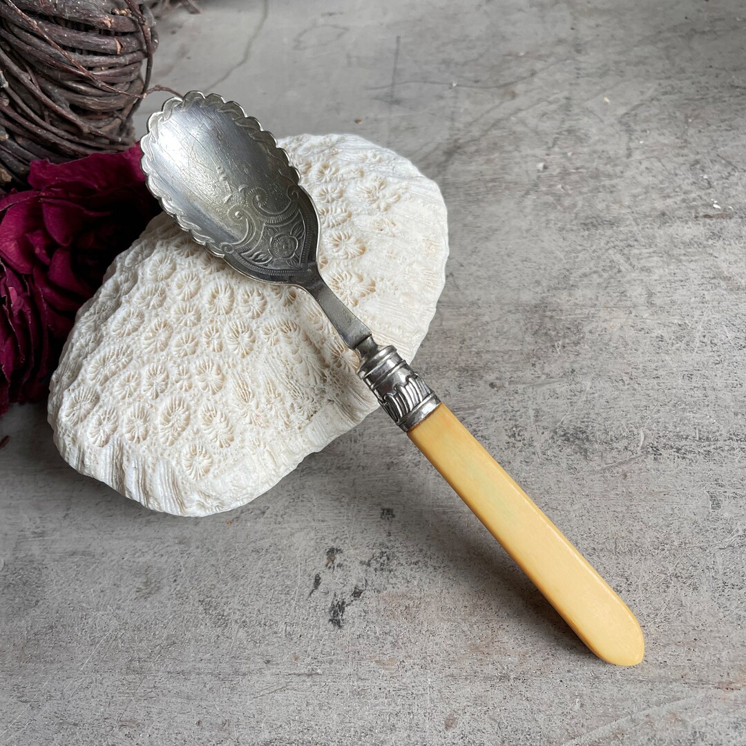 Antique English Silver Plated Preserve Spoon. Bone Handle. Berry Spoon ...