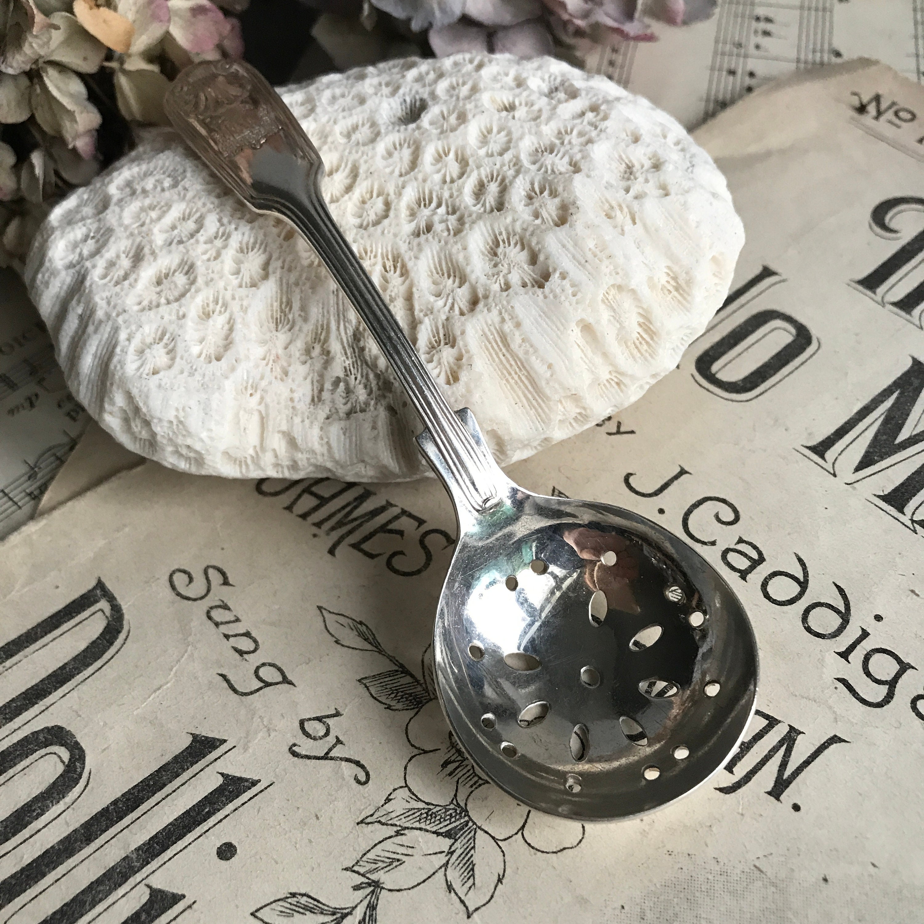 Vintage Sugar Sifter Spoon. Silver Plate Fiddle Thread & Shell - Etsy