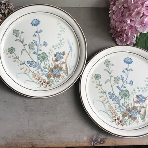 Vintage Arklow Dinner Plates. Honey Stone. Castle Glen. Made in Ireland ...