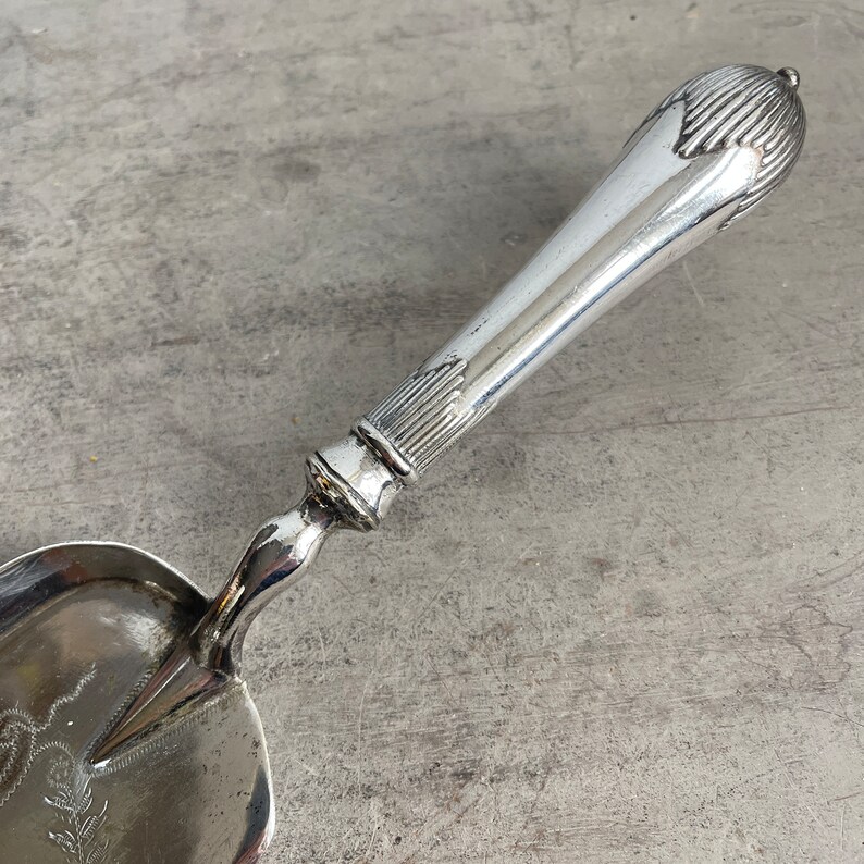 Antique Victorian English Crumb Tray / Catcher Christmas - Etsy