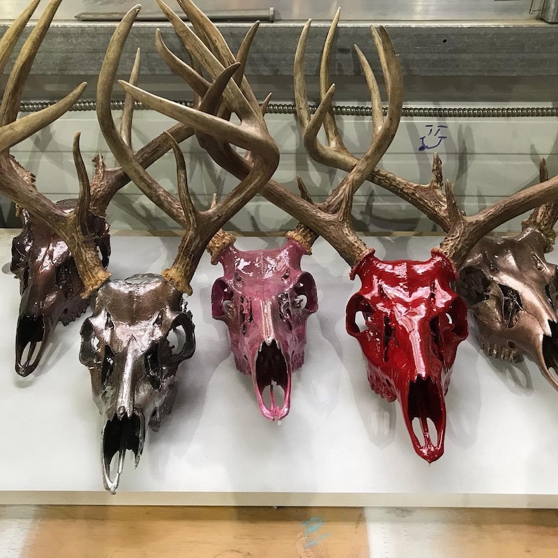 European Mount - Etsy