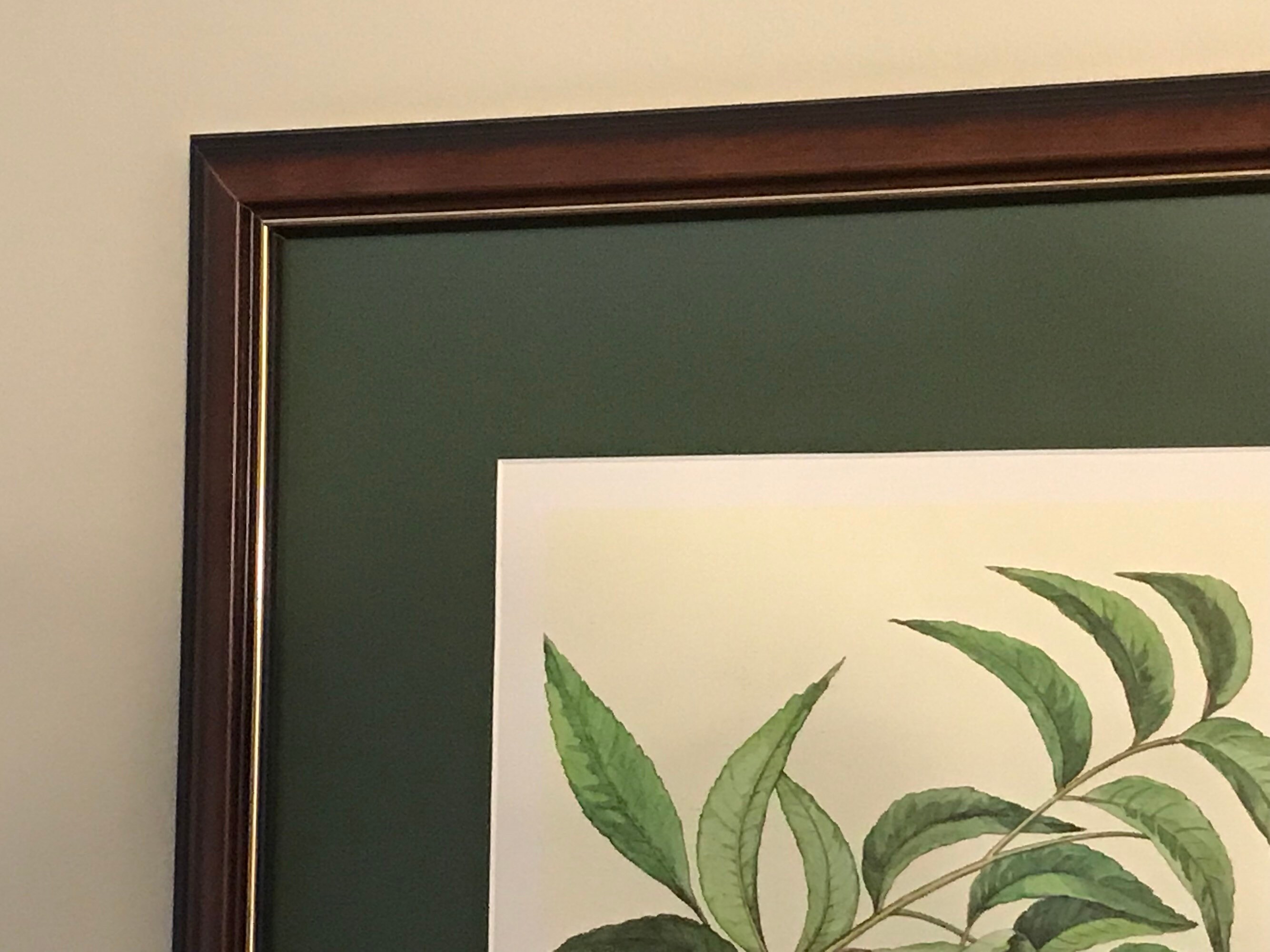 Deux Vintage botanique imprime par Mary Foley Benson de - Etsy France