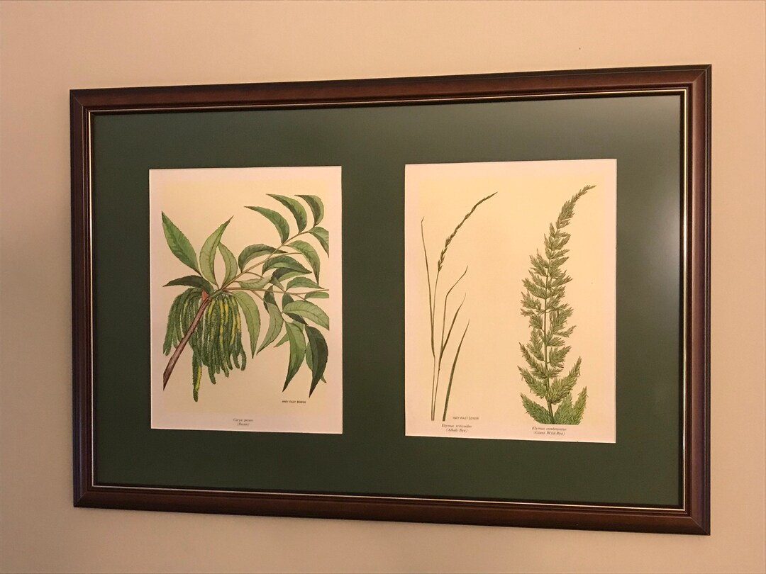 Deux Vintage botanique imprime par Mary Foley Benson de Plantes ...