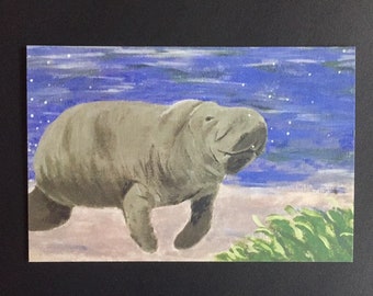 Manatee Postcard Collection - Etsy