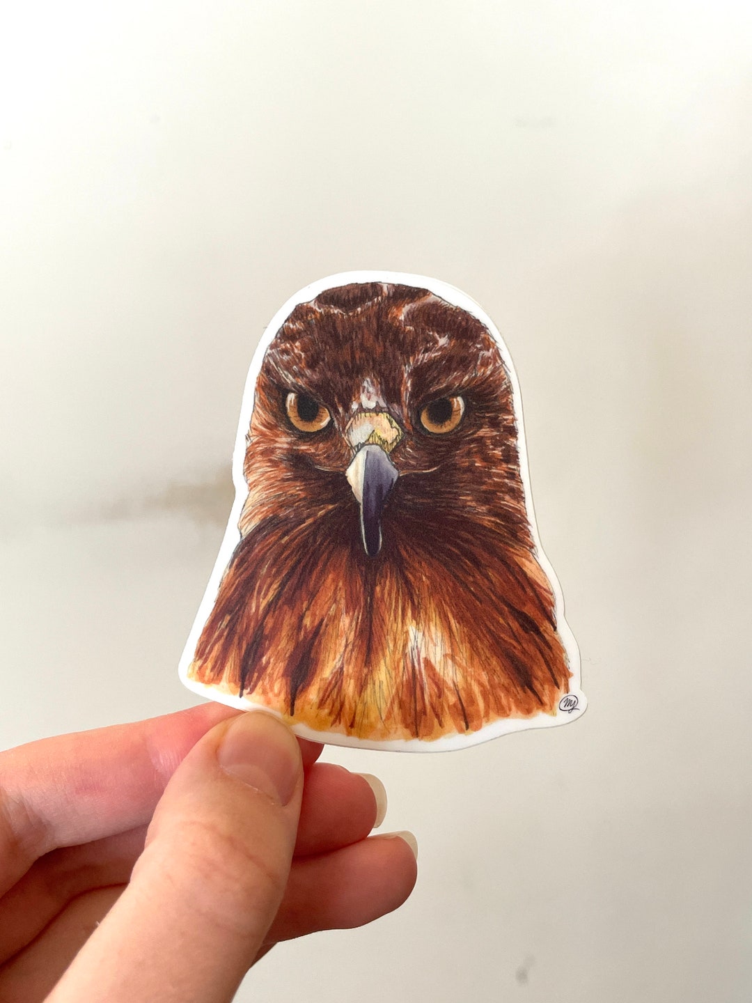 Red Hawk Sticker Bird Art Vinyl Sticker for Water Bottle, Laptop, Car ...