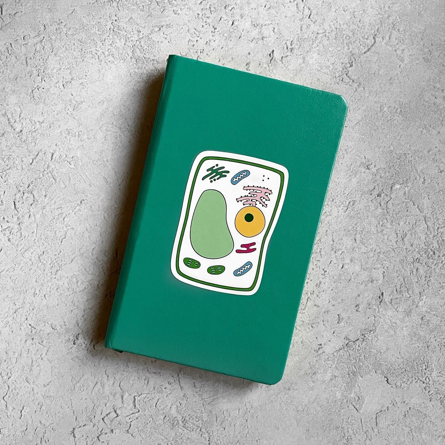 Plant Cell Sticker - Etsy