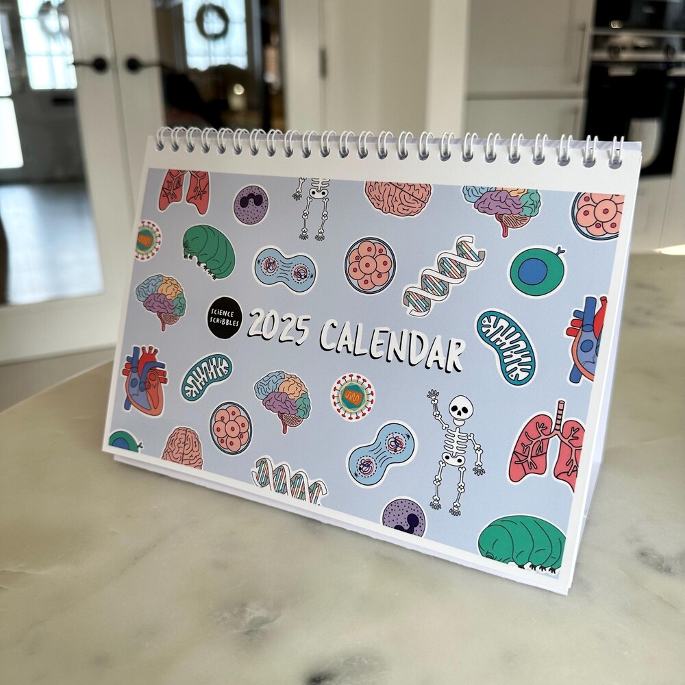 ScienceScribbles - Etsy