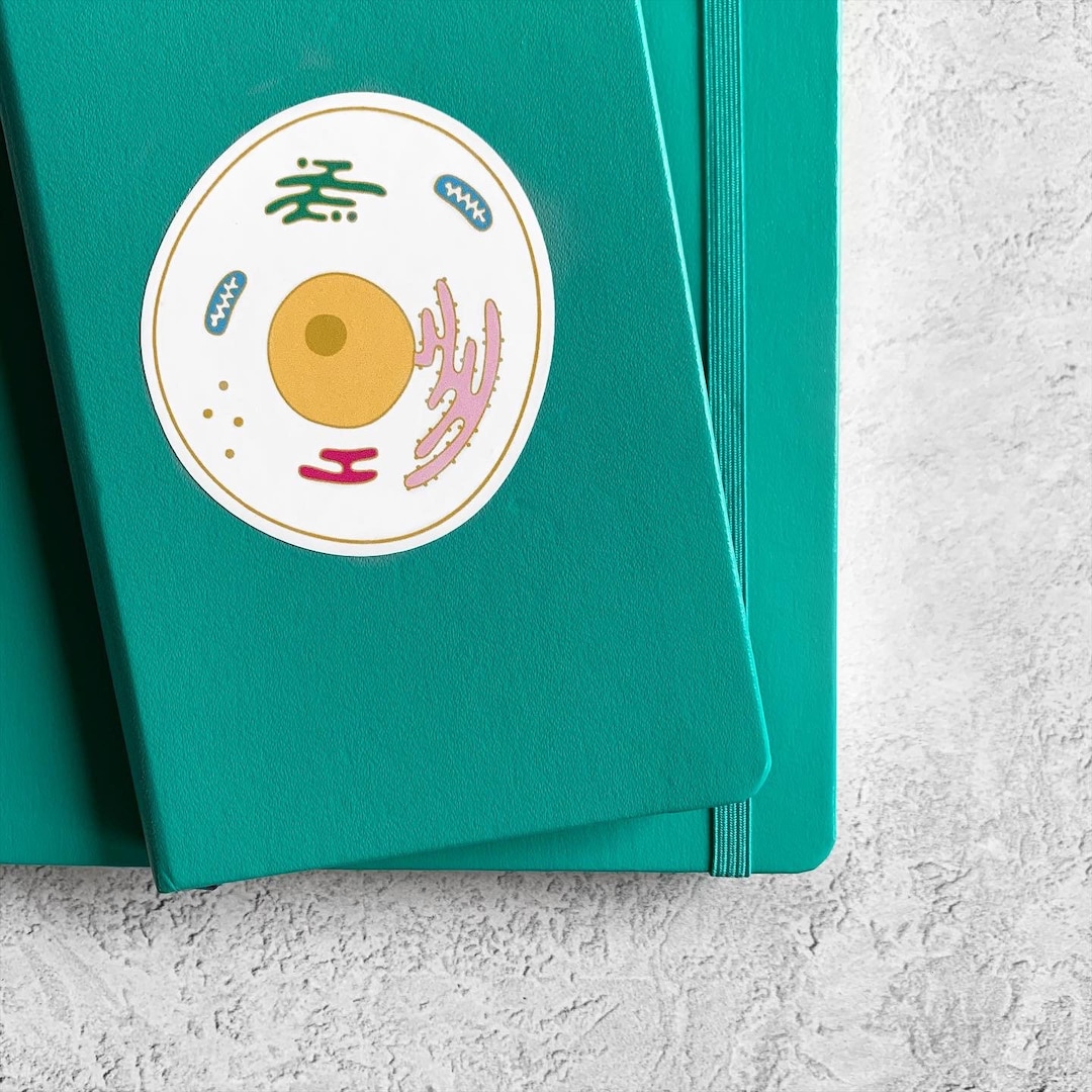 Eukaryotic Cell Sticker - White, Pink, Green & Blue - Etsy