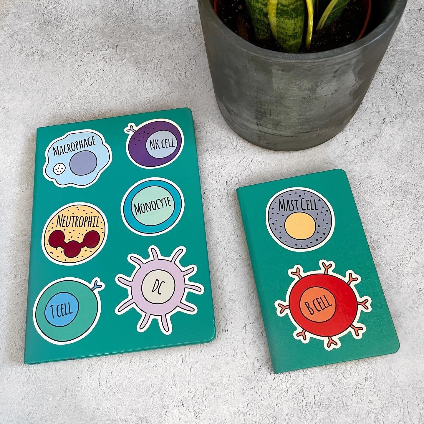 T Cell / Lymphocyte Sticker Blue & Green | Etsy