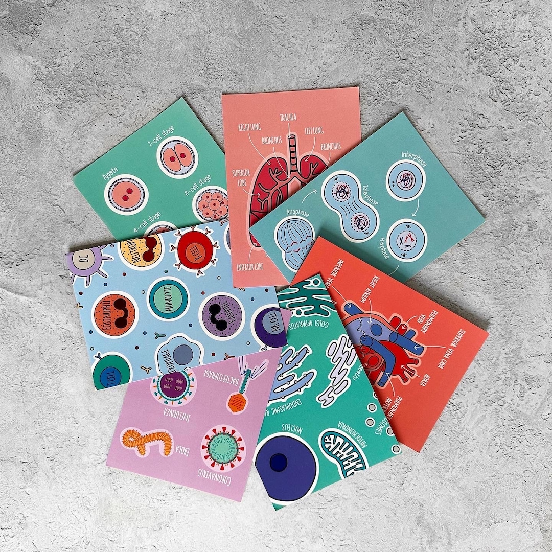 Biology Multi-pack A6 Prints/postcard - Science Prints - Science ...