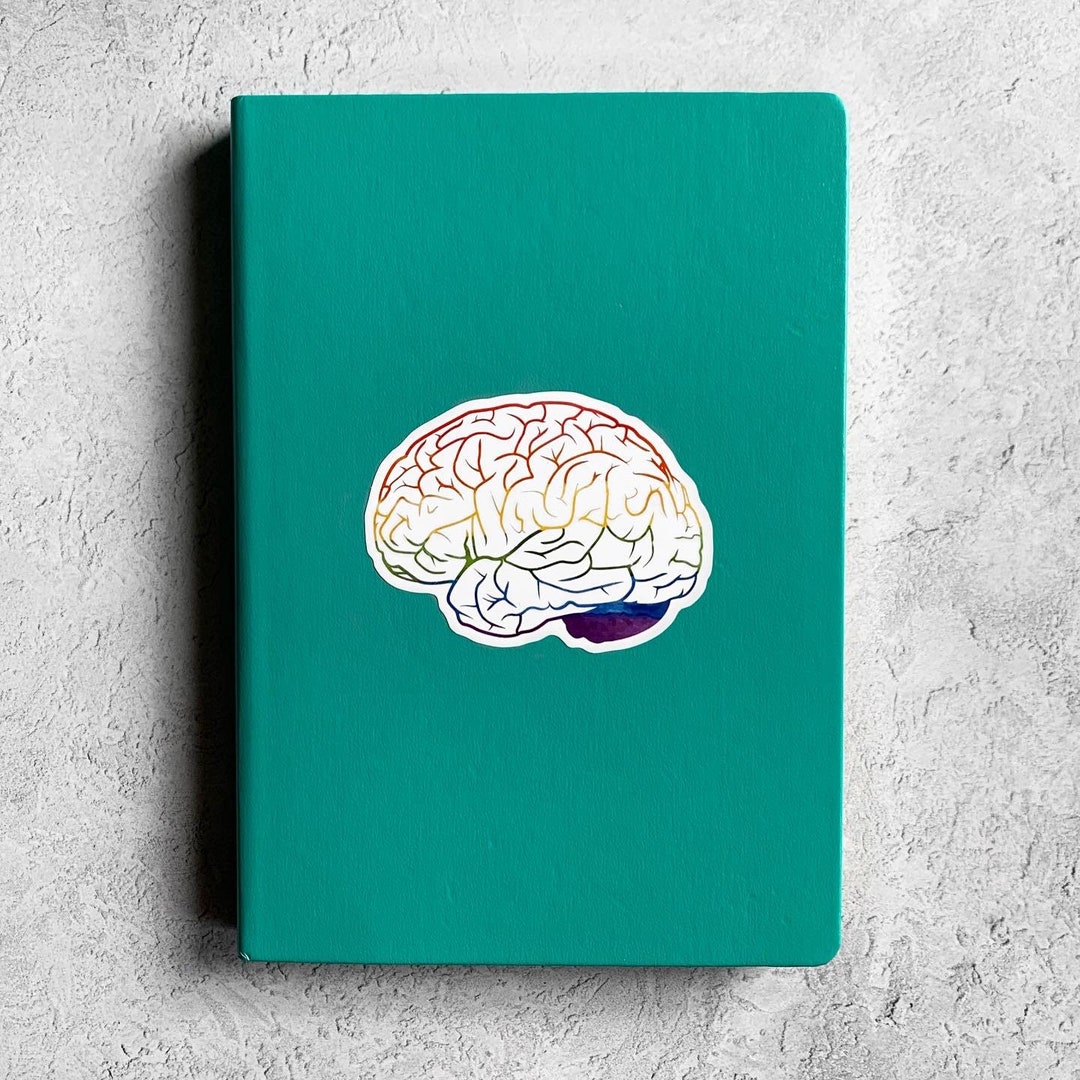 Rainbow Brain Sticker - Etsy