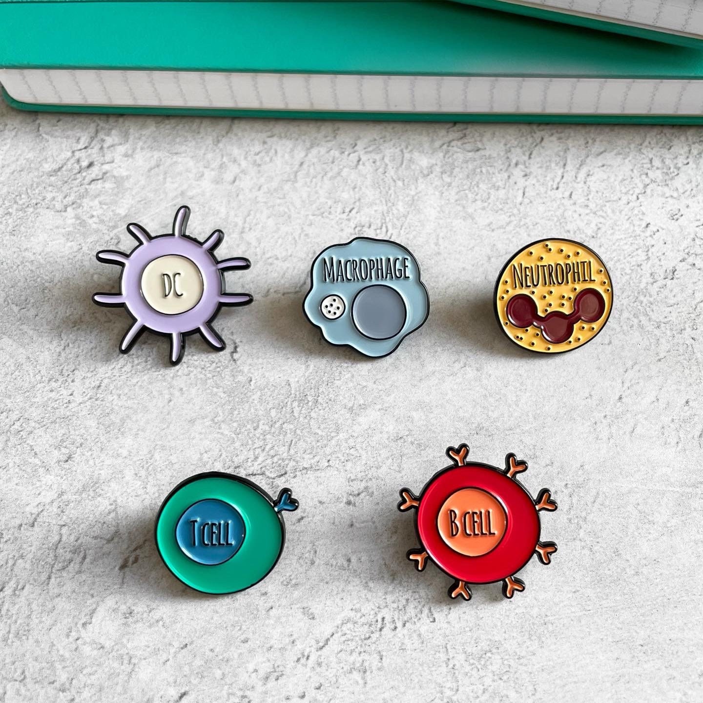 B Cell / Lymphocyte Soft Enamel Pin Badge Red & Pink | Etsy UK