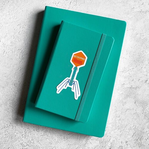 Chloroplast Sticker | Etsy