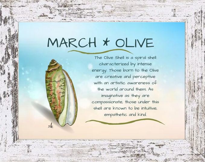 Handmade Olive Sea Shell Small Tree Décor, Seashell Christmas Tree ...