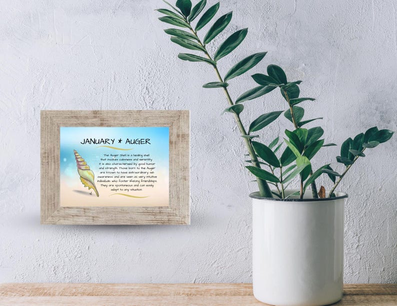 January Birth Shell Framed Art: Nautical Watercolor Coastal Decor ...