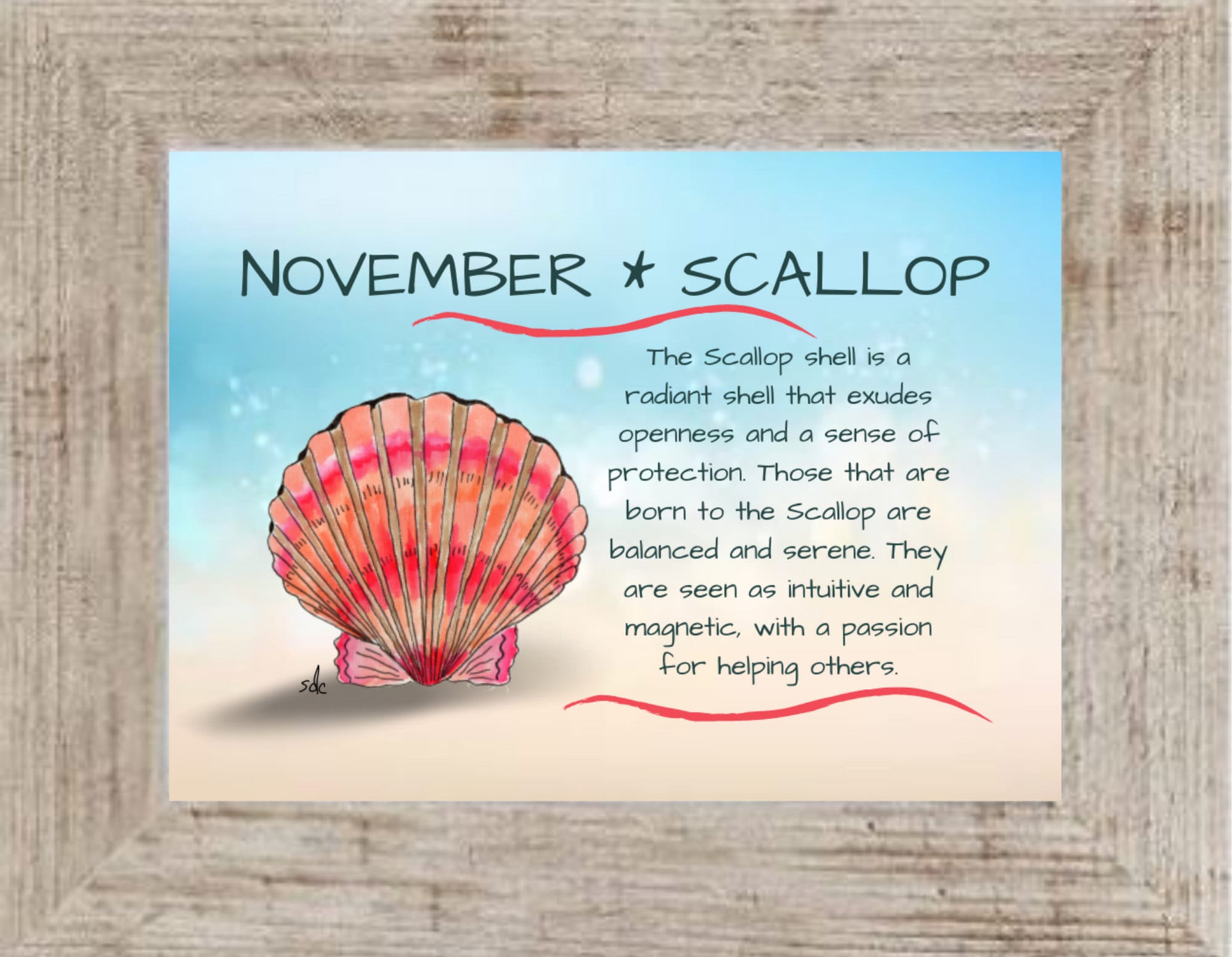 November - Birth Shell Print