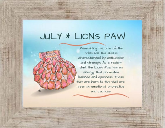 Birth Shell Prints - TropicalArtChickFLA