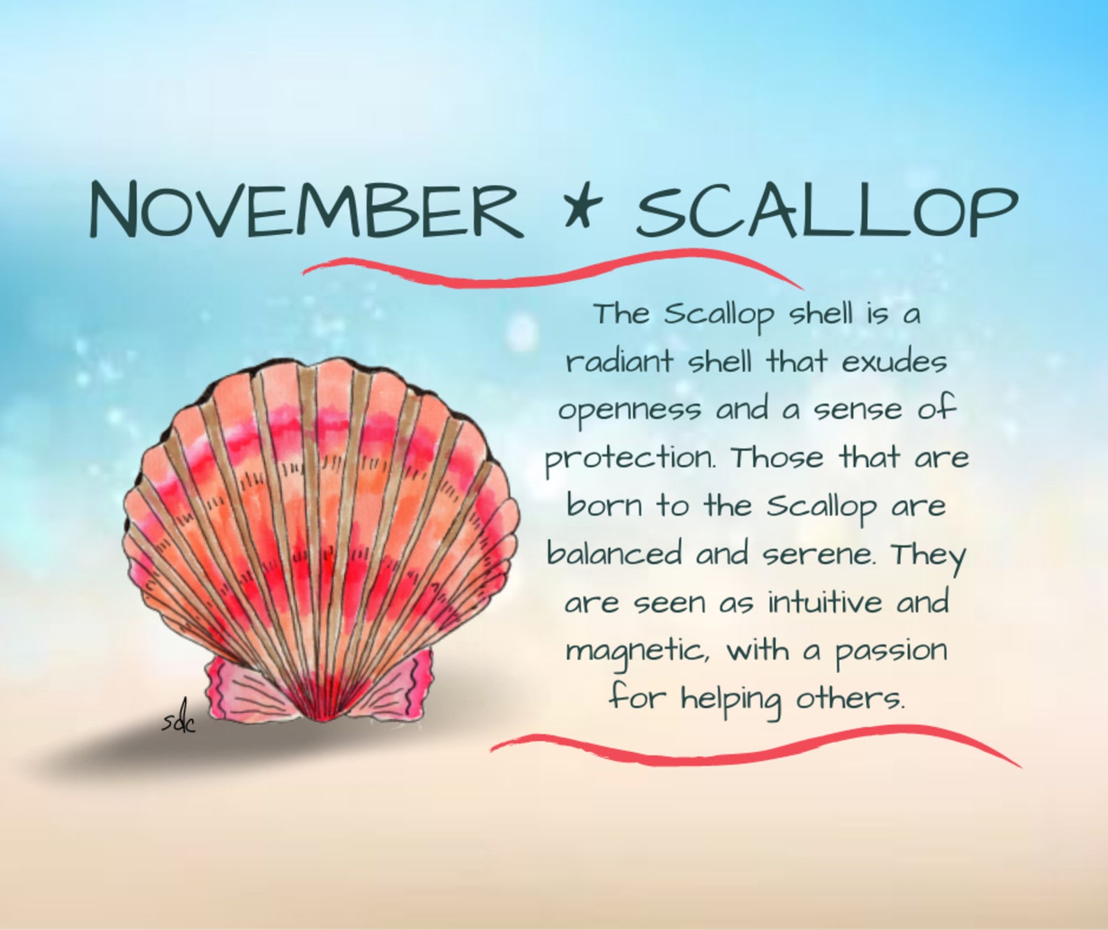 November Seashell Print, Scallop Shell, Scallop Birthday Shell ...