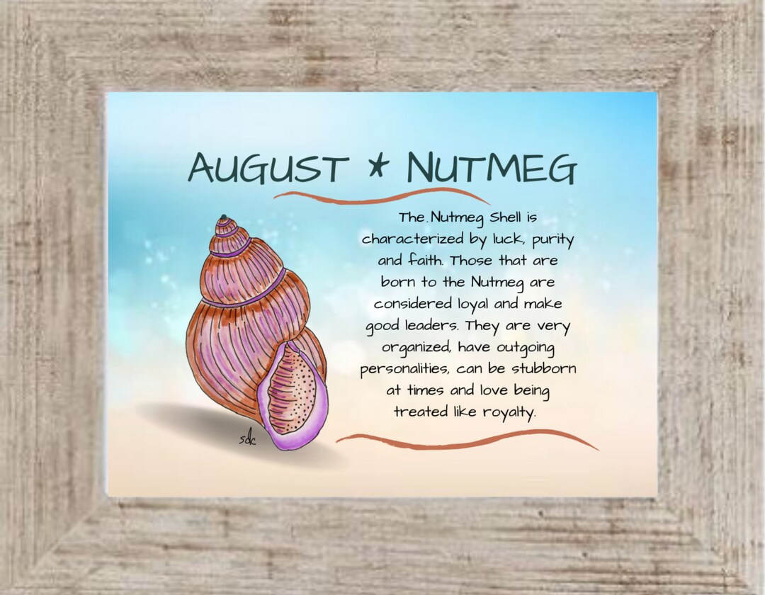 August Seashell Coastal Decor,seashell Framed Art Print,nautical ...