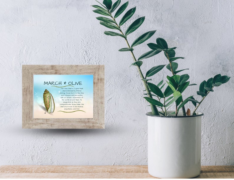 March Birth Shell Framed Art Print: Nautical Watercolor Coastal Decor ...