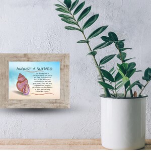 August Seashell Coastal Decor,seashell Framed Art Print,nautical ...