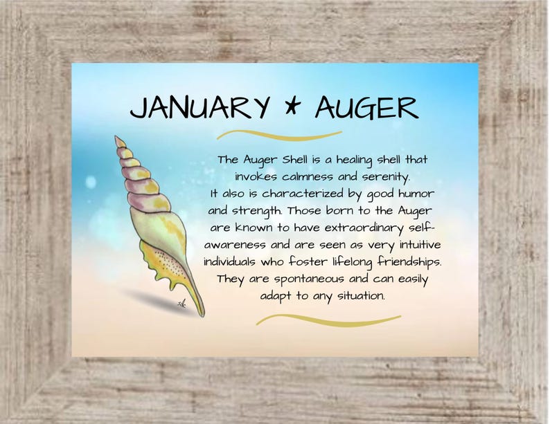 January Birth Shell Framed Art: Nautical Watercolor Coastal Decor ...