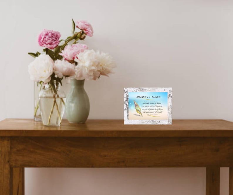 January Birth Shell Framed Art: Nautical Watercolor Coastal Decor ...