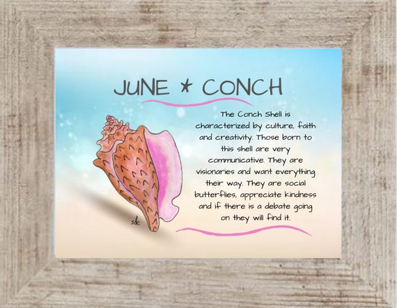 Birth Shell Prints - TropicalArtChickFLA