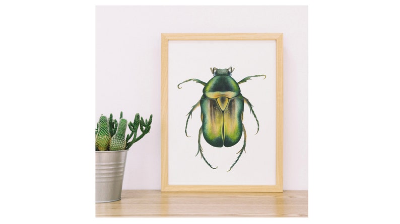 3 Beetle INSECT POSTERS With or Without Frame Insect Watercolor Art ...