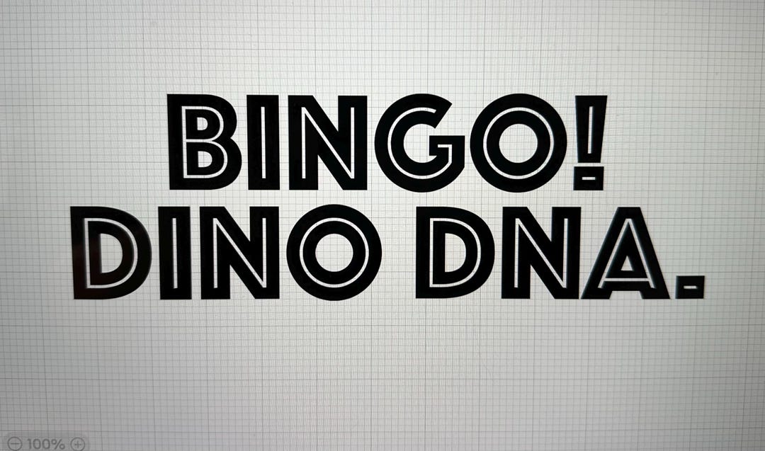 Bingo! Dino DNA - Vinyl Decal - Etsy