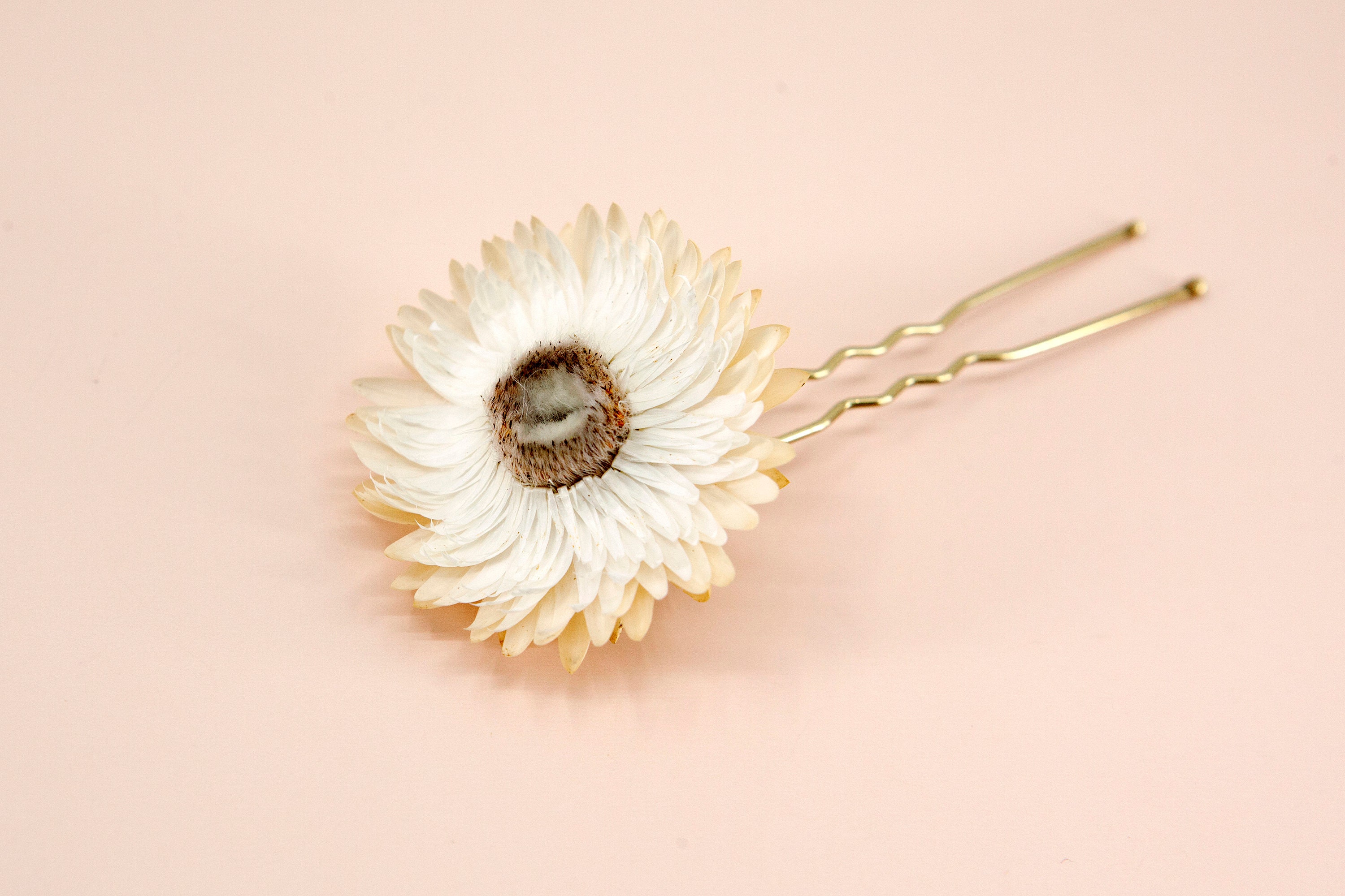 5 Pins Set - Mixed Floral Hair Pins | Dried Ivory Strawflowers Lagurus ...