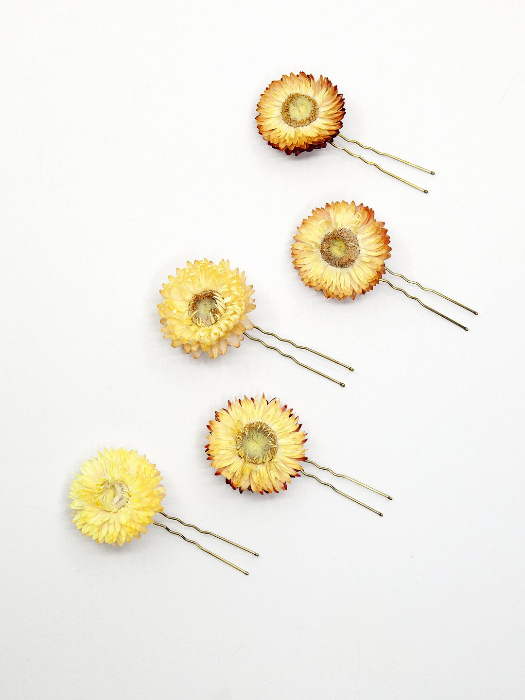 Dried Light Yellow Strawflowers Hair Pins | Preserved Flower Bridal ...