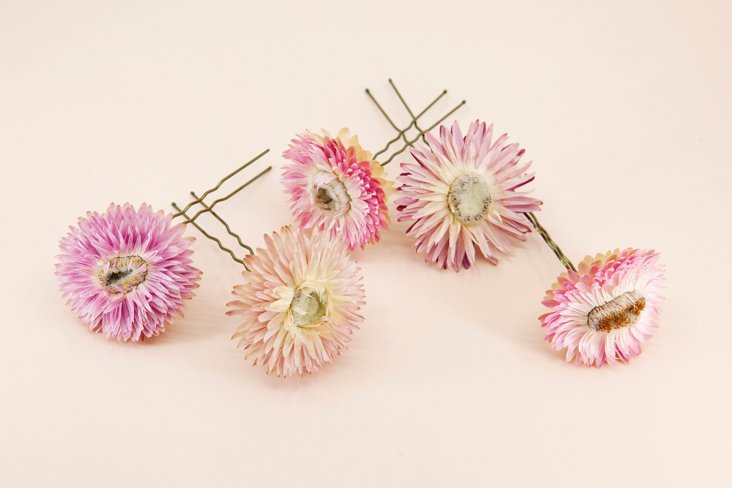 6 Pins Set - 3 Eucalyptus and 3 Strawflower Hair Pins | Dried ...