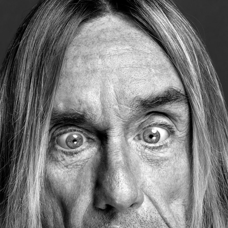 Iggy Pop Portrait Fine Art Print in A3 Format LIMITED - Etsy