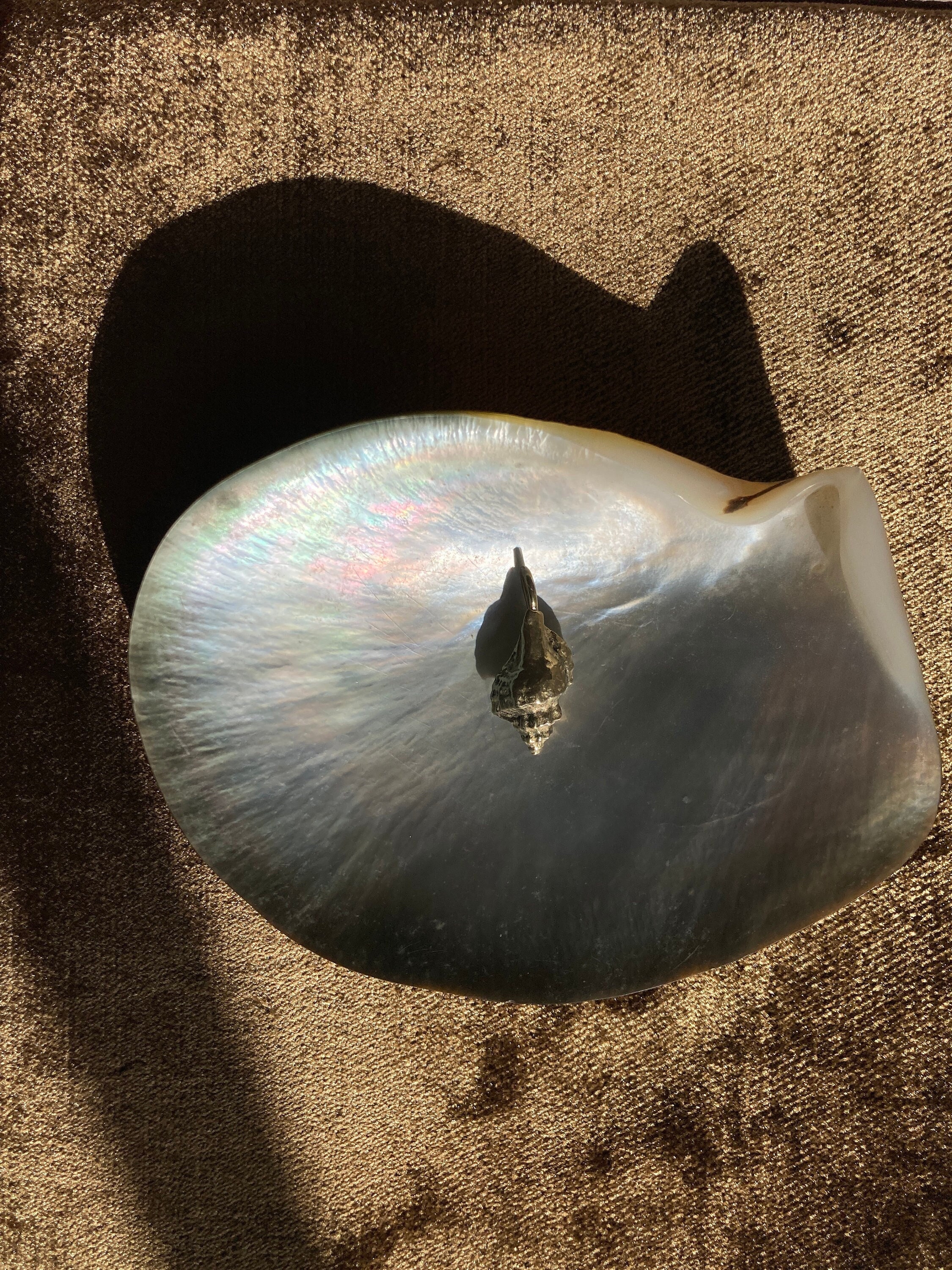 Victorian Seashell Pendant. Sea Shell Charm. Conch Seashell Charm. 14k ...