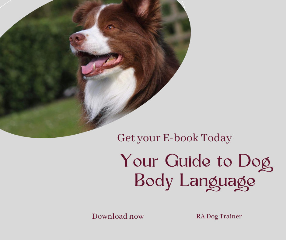 Dog Body Language Guide Ebook, Dog Training Book, Digital Download, Dog ...