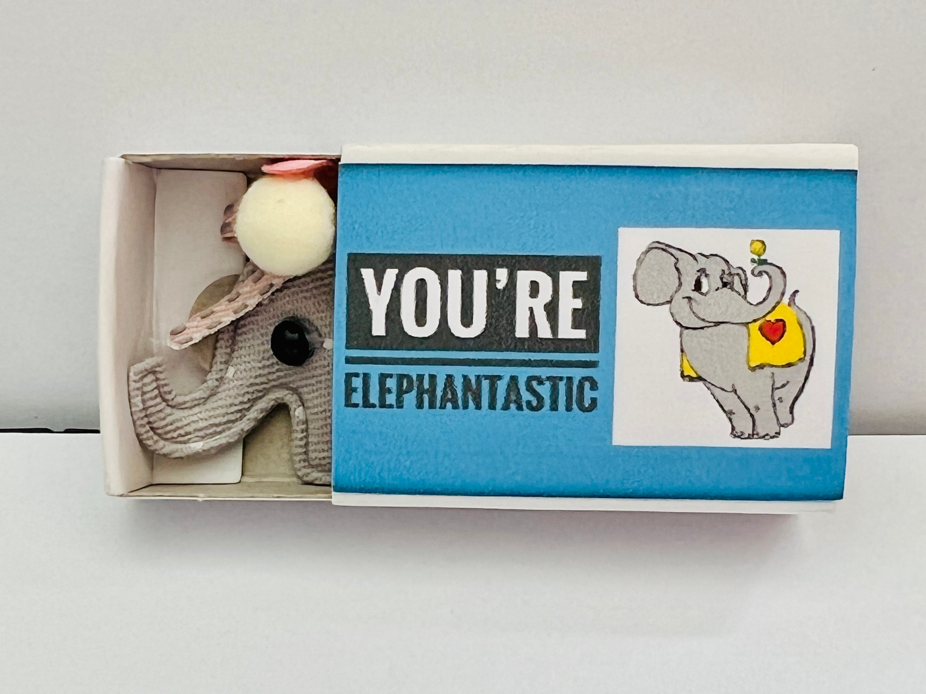 Helios Alpaca 24 X 24