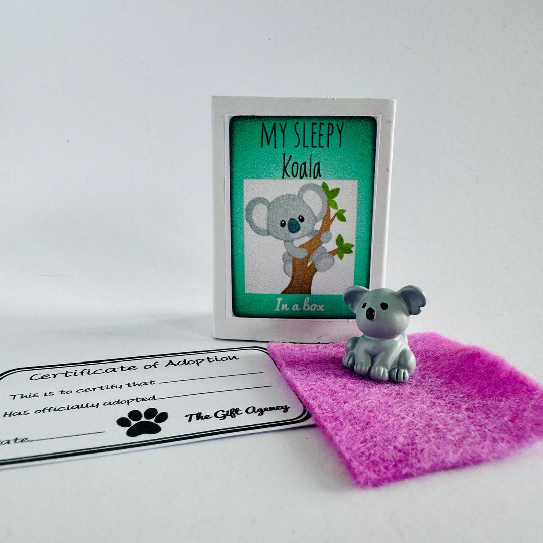 My Sleepy Koala in a Box Matchbox Mini Novelty Silly Gift - Etsy