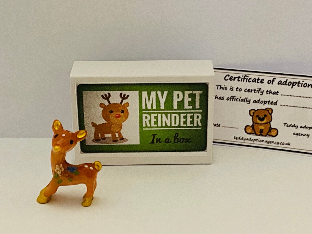 My Pet Reindeer in a Box Matchbox Mini Novelty Silly Gift - Etsy
