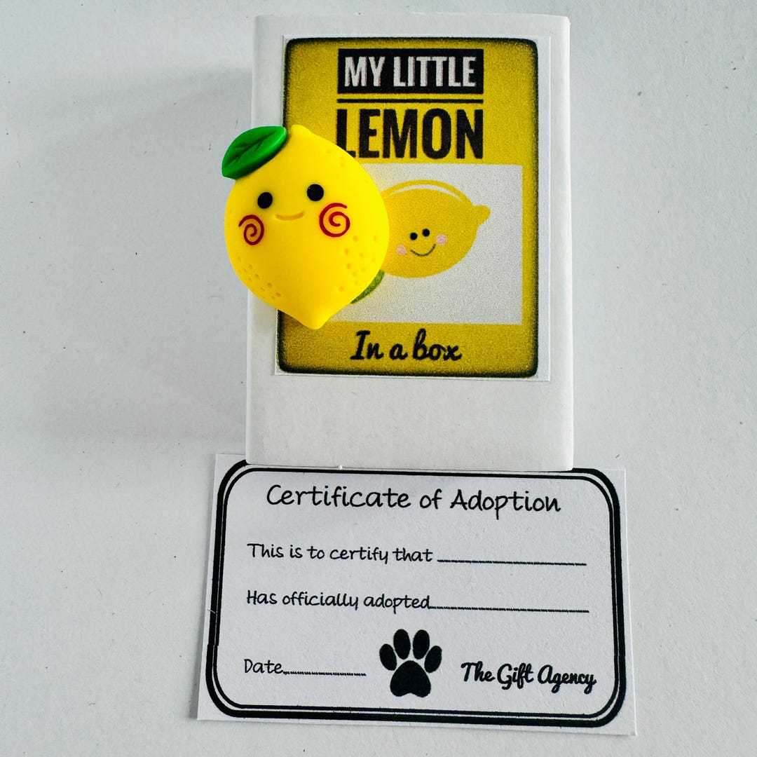 Mini Pets - My Little Lemon in a Box With Adoption Certificate - Etsy