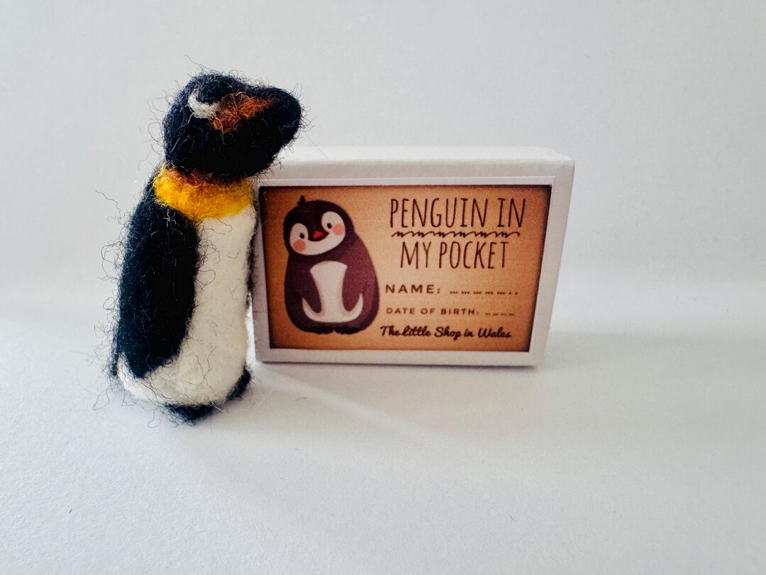 Penguin in My Pocket Naming Box, Hand Crafted Wool Needle Felted ...