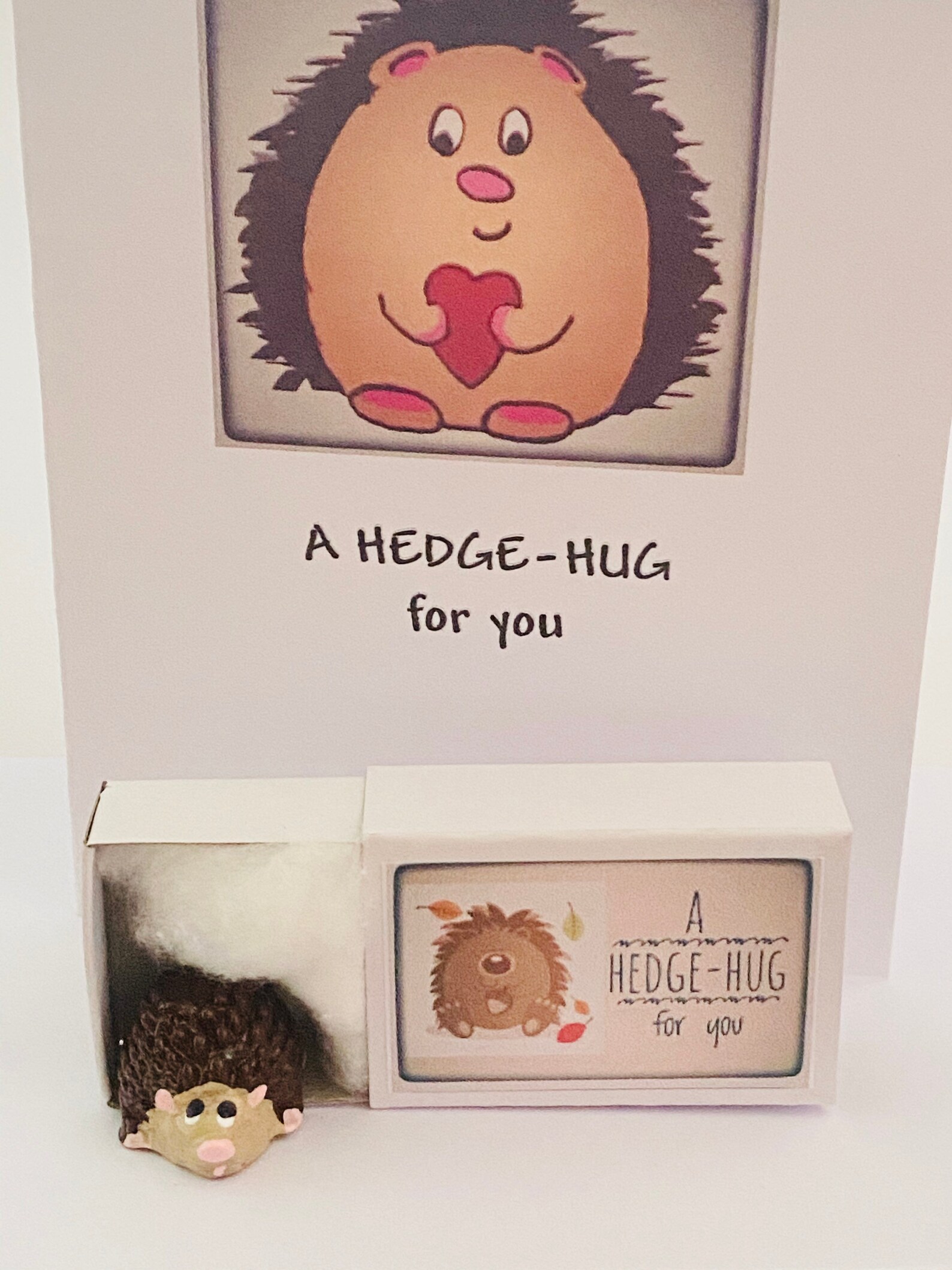 A Hedge-hug for You in a Box Mini Prickly Hedgehog Gift - Etsy