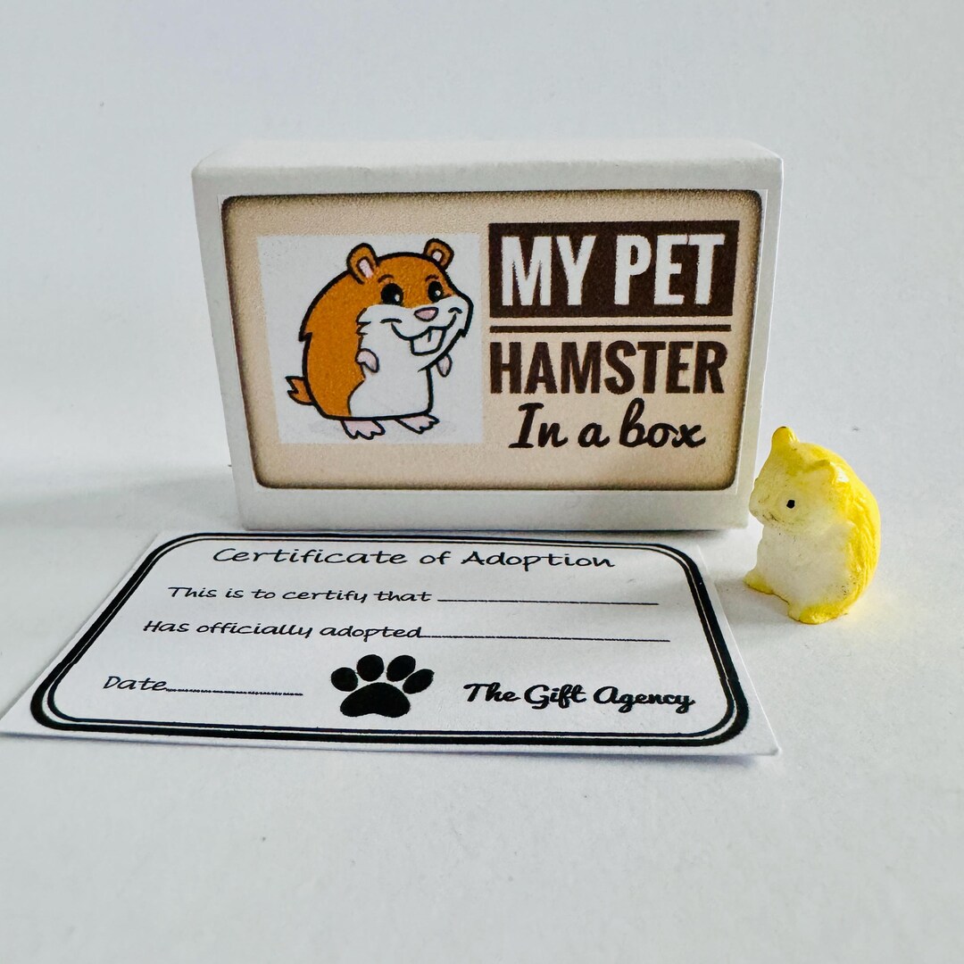 My Pet Hamster in a Box Matchbox Yellow Mini Novelty Silly Gift - Etsy UK