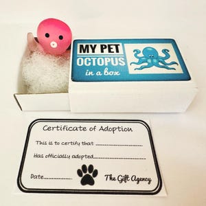 My Pet Octopus in a Box With an Adoption Certificate Mini Novelty Gift ...