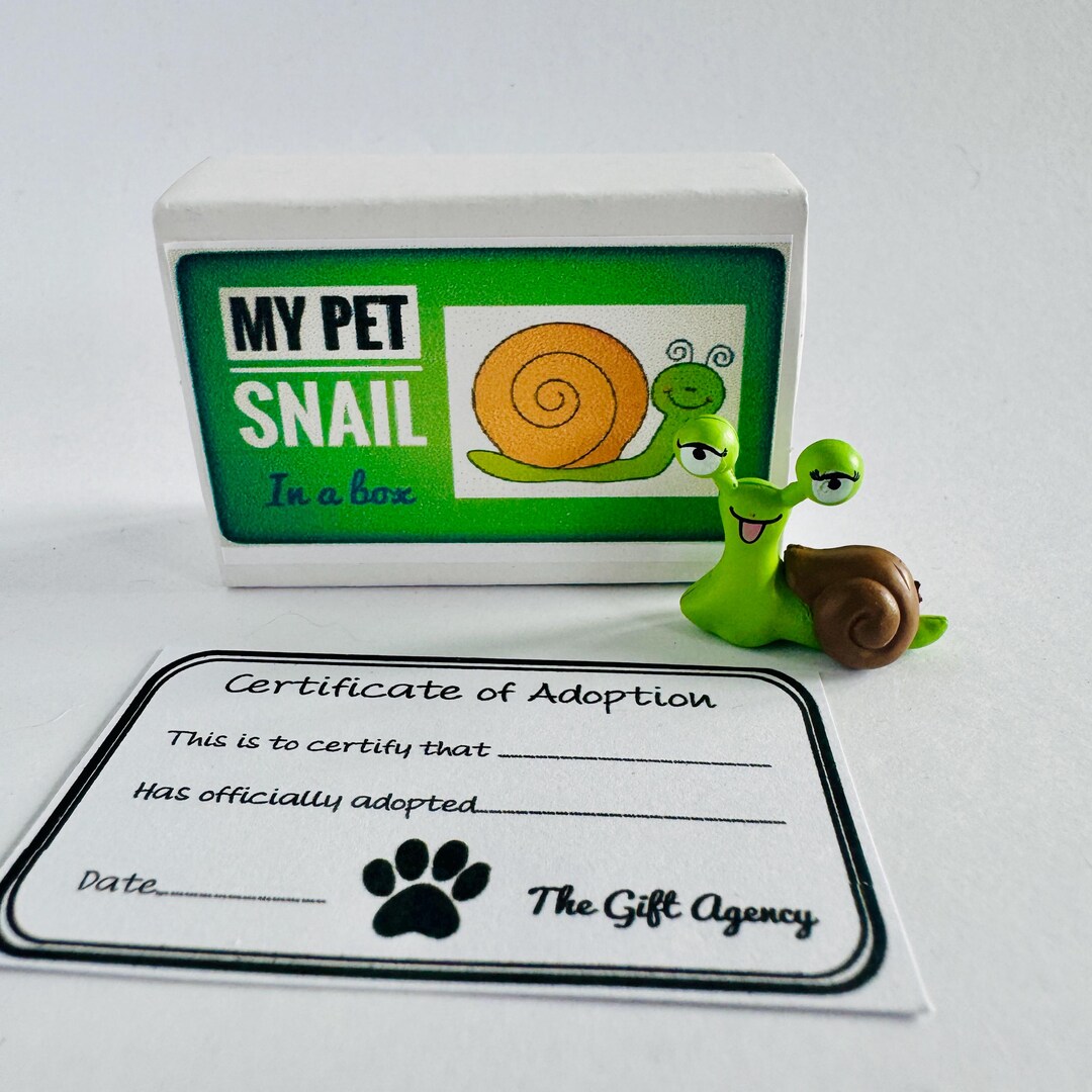 Mini Pets - My Pet Snail in a Box With Adoption Certificate - Choice of ...